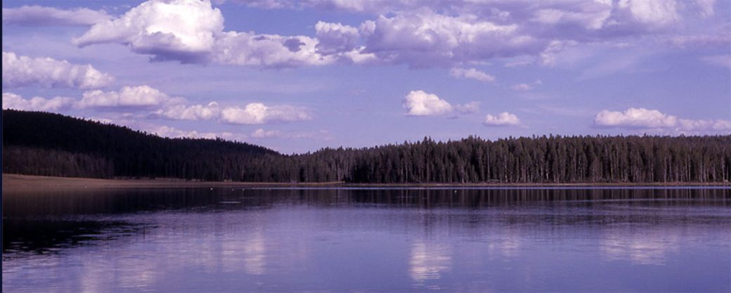 GREBE LAKE TRAIL - Yellowstone National Park