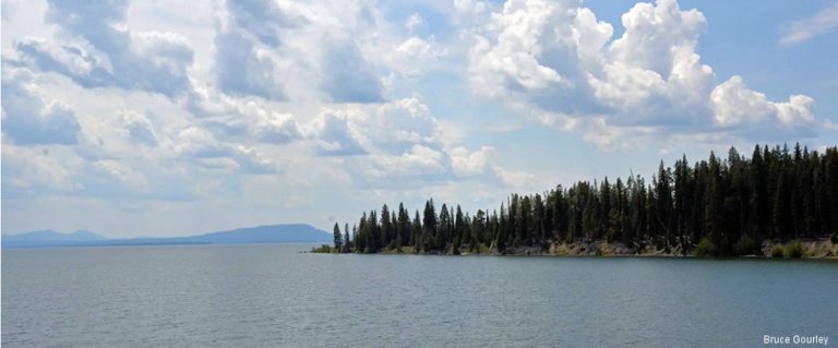 STORM POINT TRAIL - Yellowstone National Park