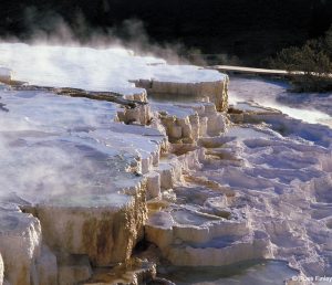 Yellowstone Geysers: Explore the Park's Thermal Wonders